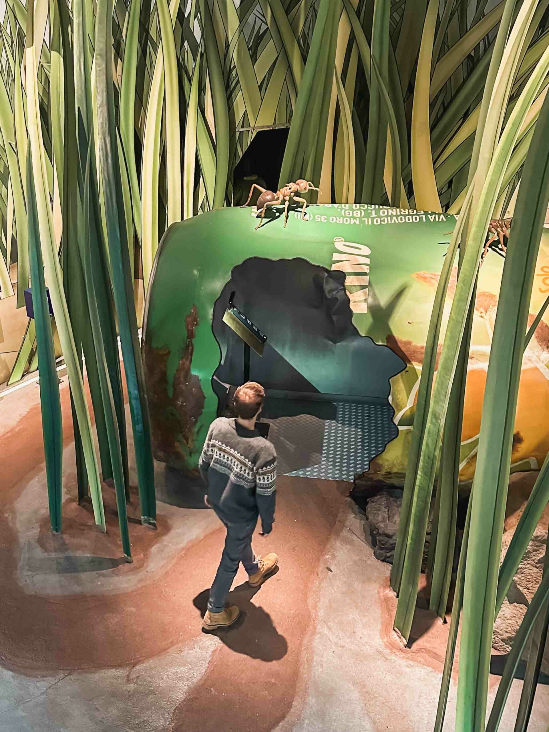 Klimahaus Bremerhaven: Weltreise in Deutschland - Grün um die Welt